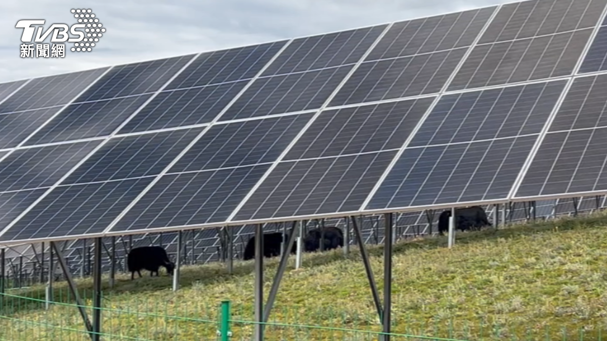 Taiwan delays solar power target to November 2026 │ TVBS World Taiwan